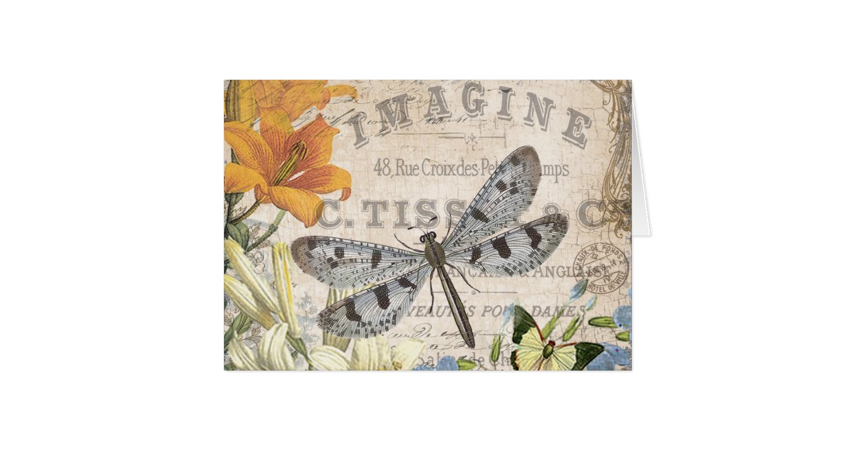 modern vintage french dragonfly | Zazzle