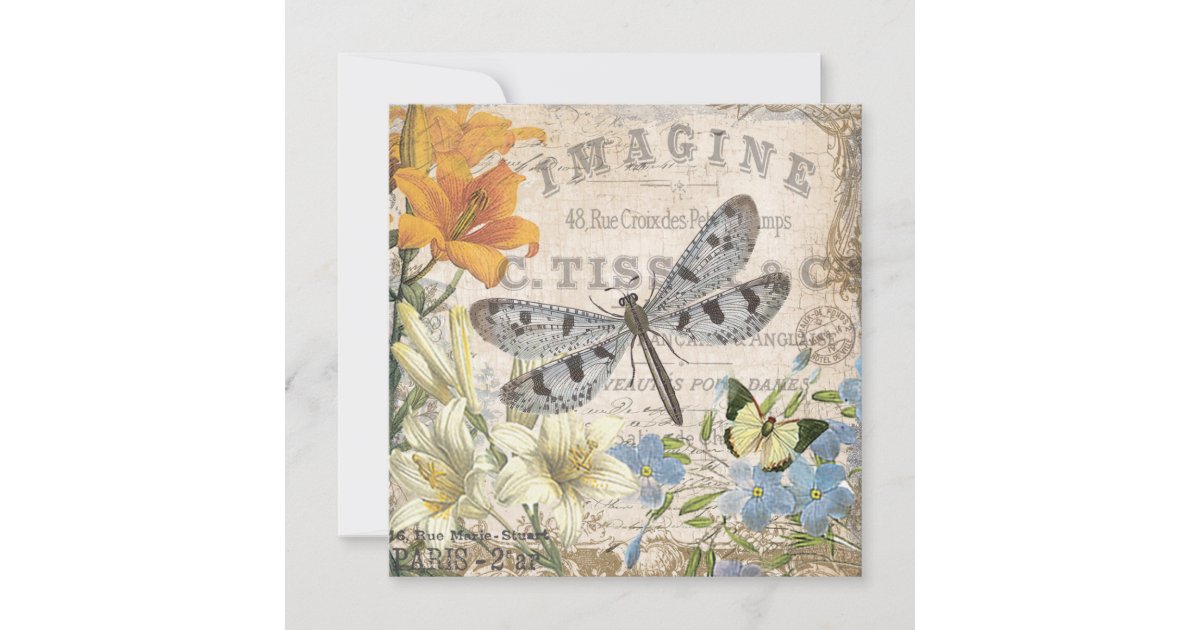 modern vintage french dragonfly | Zazzle