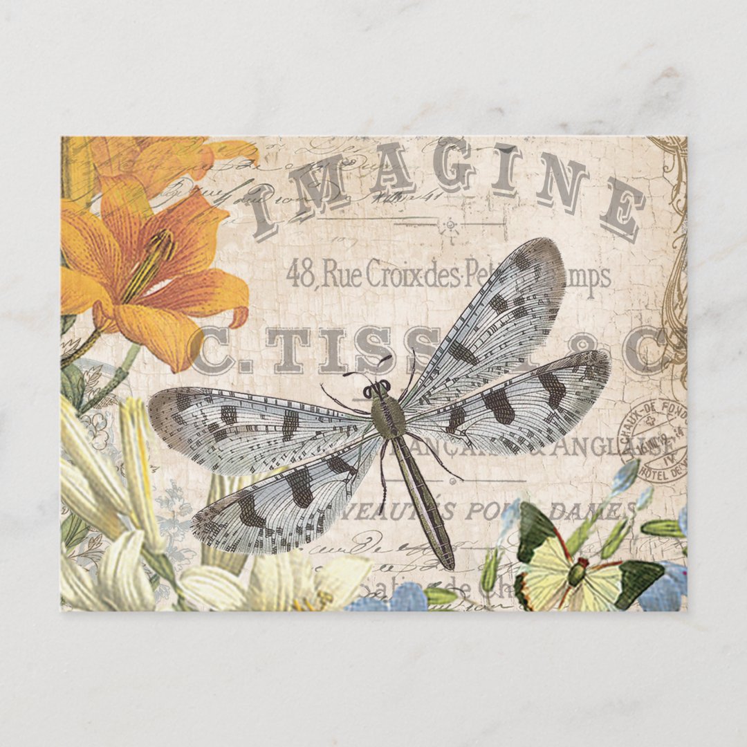 modern vintage french dragonfly postcard | Zazzle