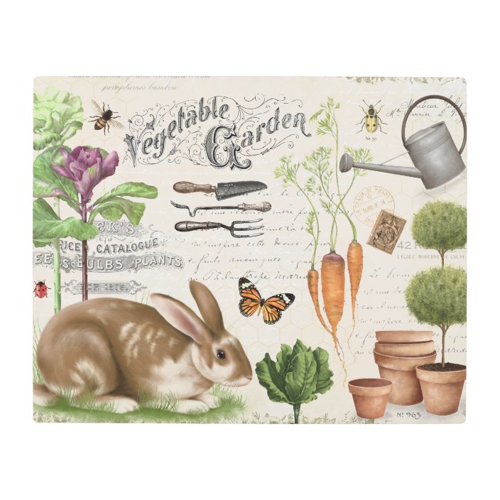 Modern Vintage French Garden Rabbit Metal Print | Zazzle.com