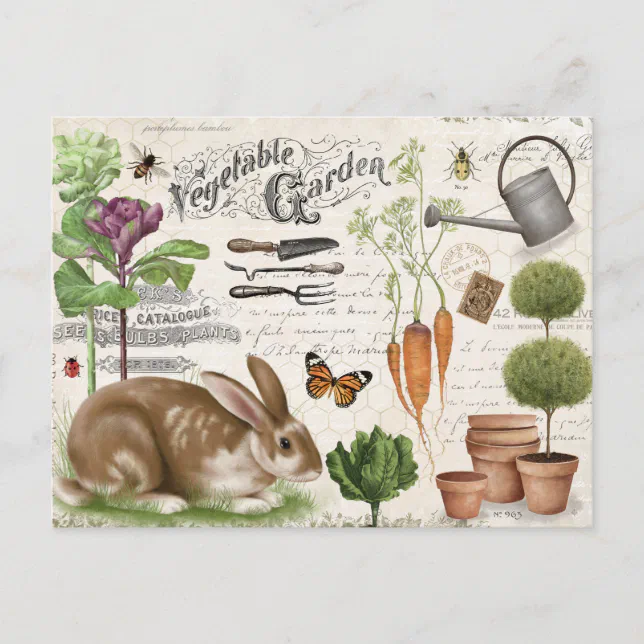 Modern Vintage French Garden Rabbit Postcard | Zazzle