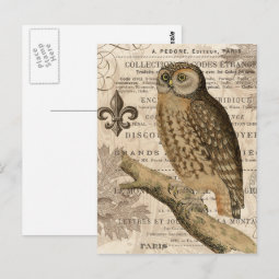 modern vintage french owl postcard | Zazzle