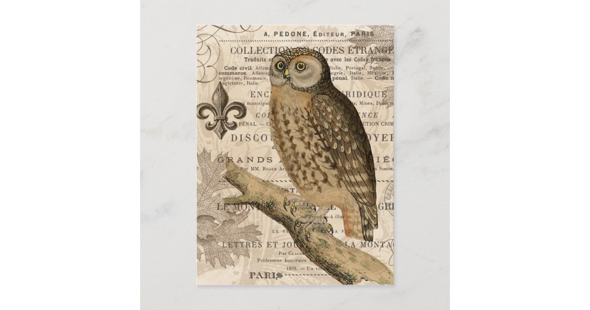 modern vintage french owl postcard | Zazzle