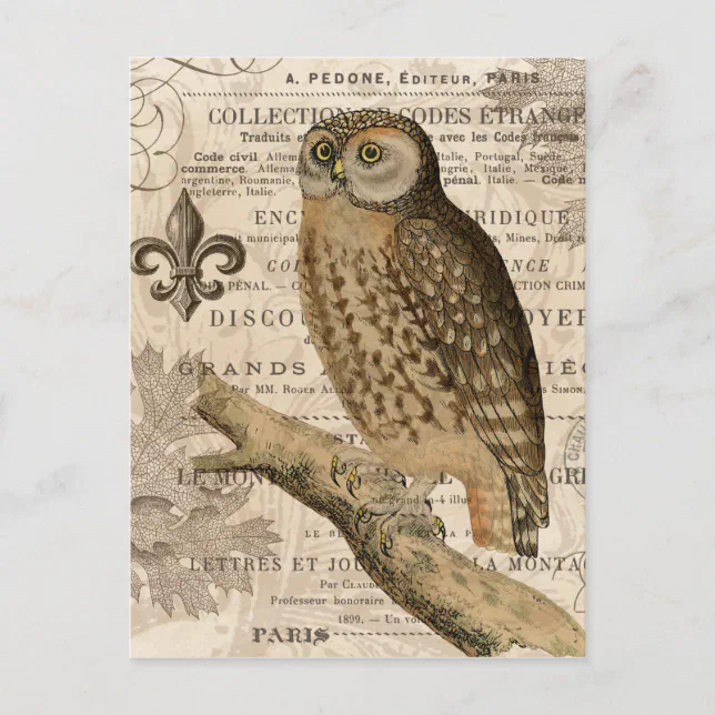 modern vintage french owl postcard | Zazzle
