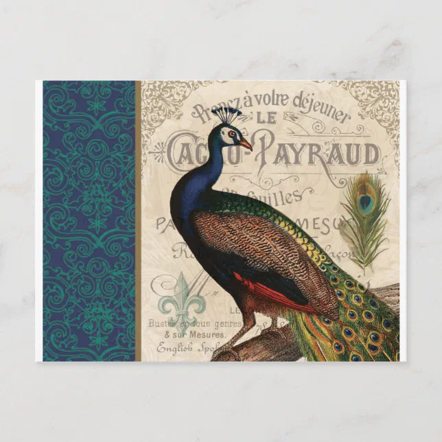 modern vintage french peacock postcard | Zazzle