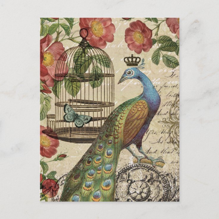 modern vintage french peacock postcard | Zazzle