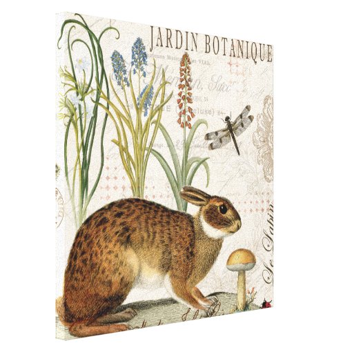 modern vintage french rabbit in the garden canvas print | Zazzle