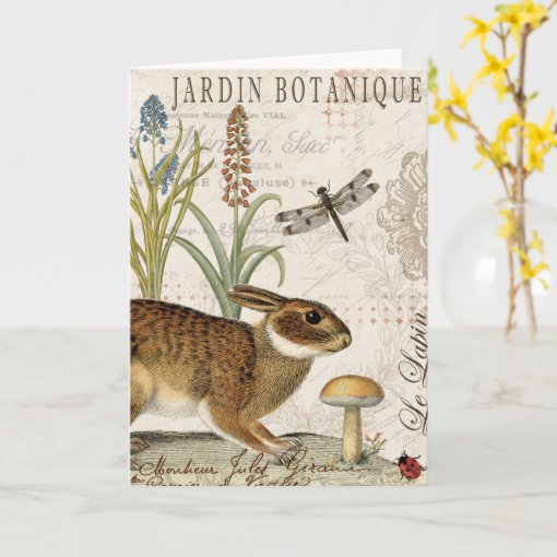 modern vintage french rabbit in the garden card | Zazzle
