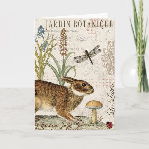 modern vintage french rabbit in the garden card | Zazzle