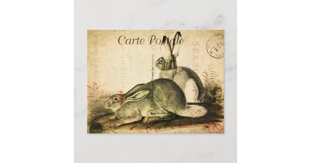 Modern Vintage French rabbits collage Postcard | Zazzle