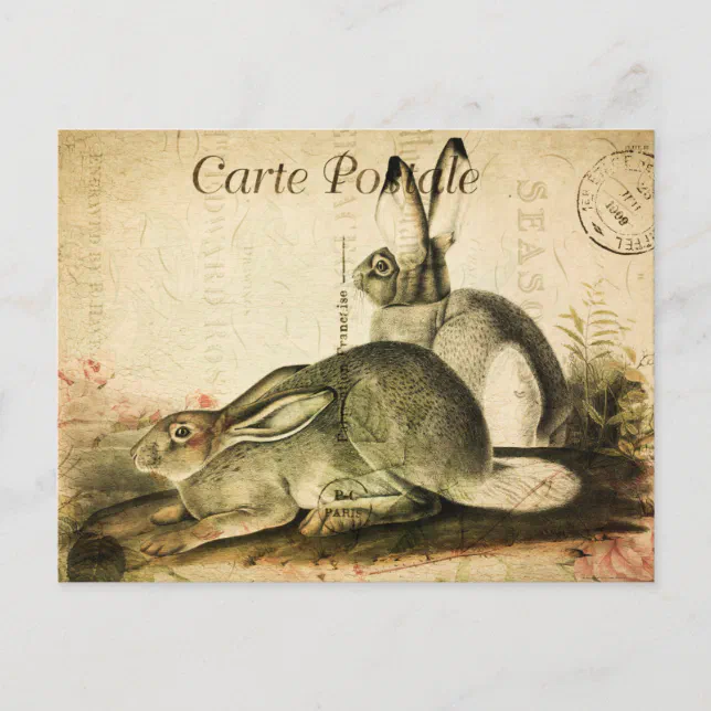 Modern Vintage French rabbits collage Postcard | Zazzle