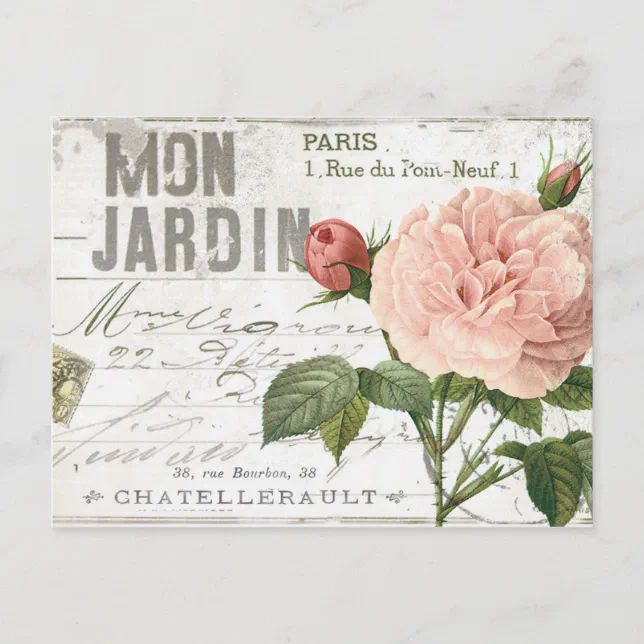modern vintage french rose postcard | Zazzle
