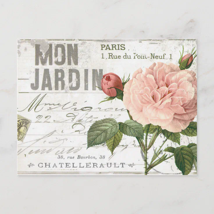 modern vintage french rose postcard | Zazzle