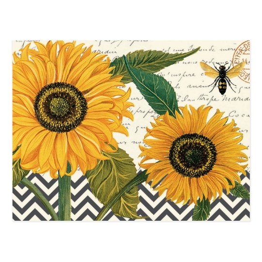 modern vintage french sunflower postcard | Zazzle.com