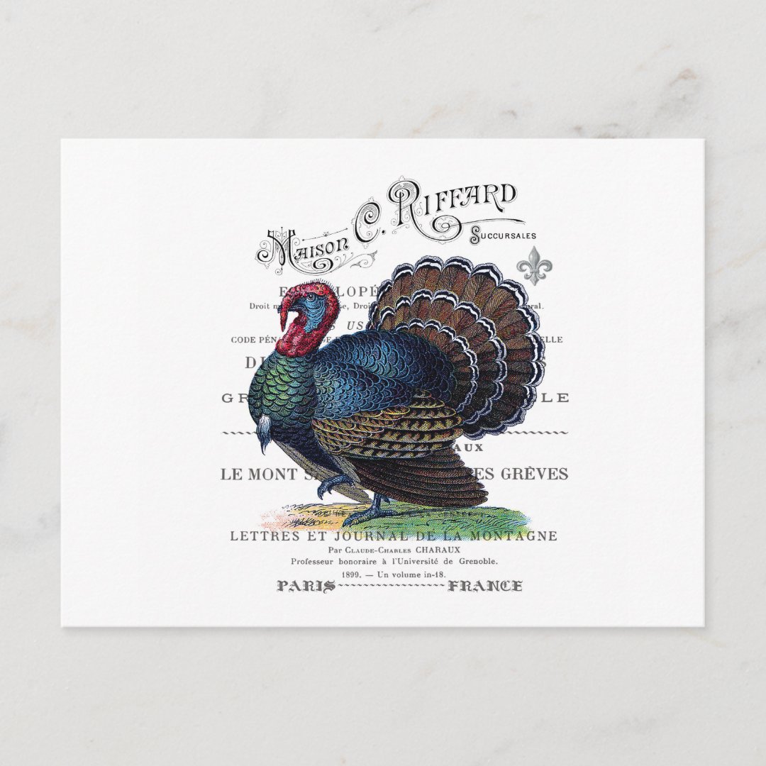 modern vintage Turkey Postcard | Zazzle