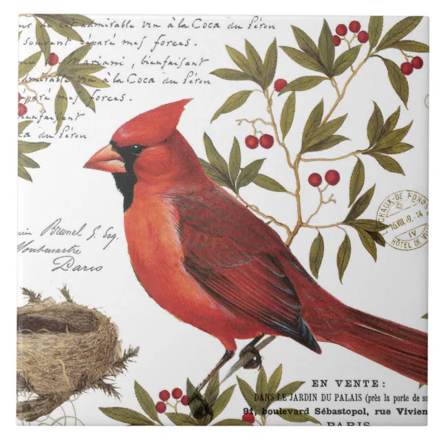modern vintage winter cardinal ceramic tile | Zazzle