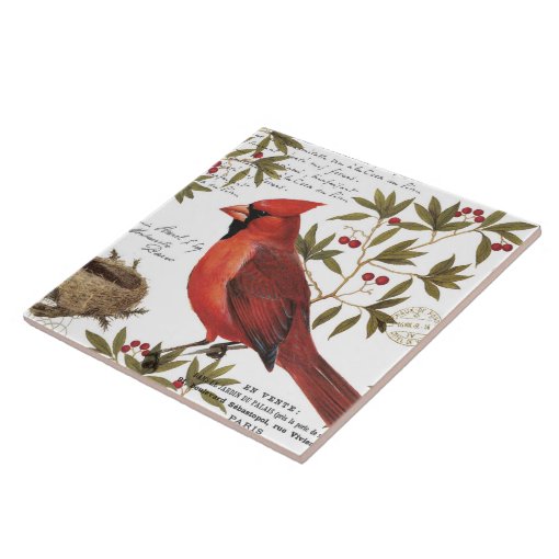 modern vintage winter cardinal ceramic tile | Zazzle