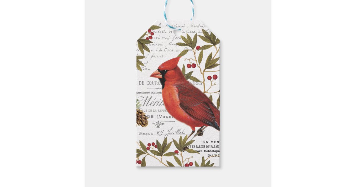 modern vintage winter woodland cardinal gift tags | Zazzle