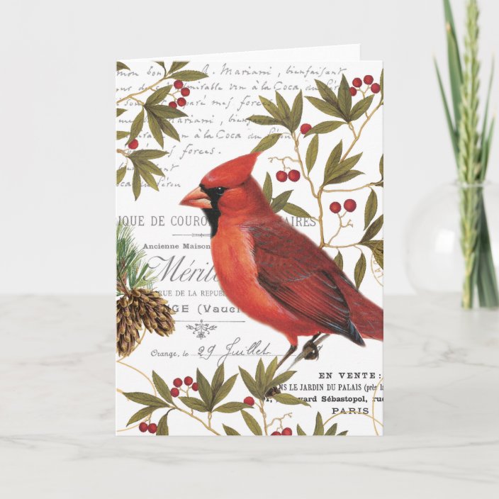 Modern vintage woodland cardinal holiday card | Zazzle.com