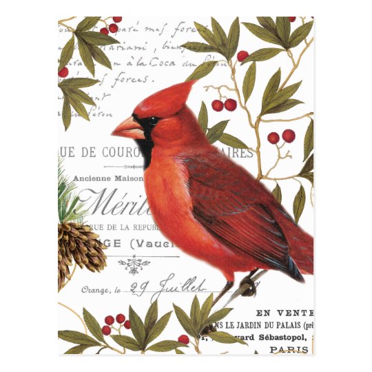 Modern vintage woodland cardinal postcard | Zazzle.com