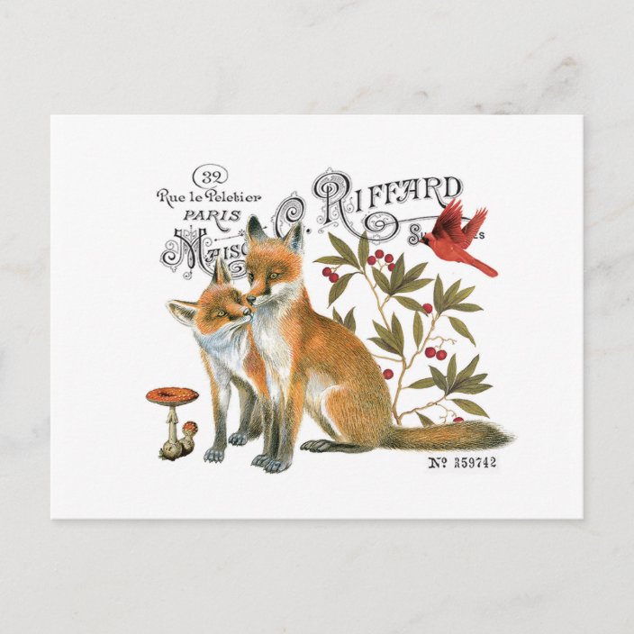 modern vintage woodland fox postcard | Zazzle.com