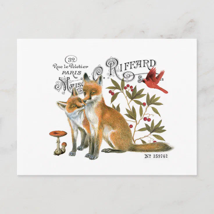 modern vintage woodland fox postcard | Zazzle