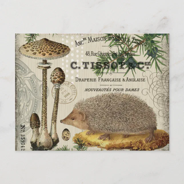 modern vintage woodland hedgehog postcard | Zazzle