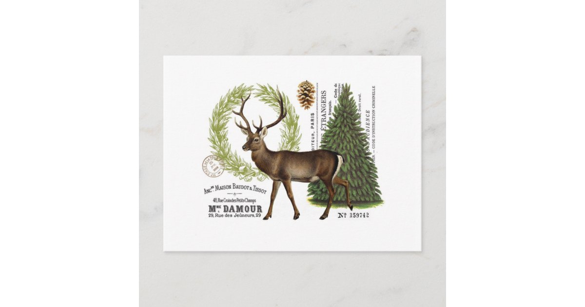 modern vintage woodland winter deer postcard | Zazzle
