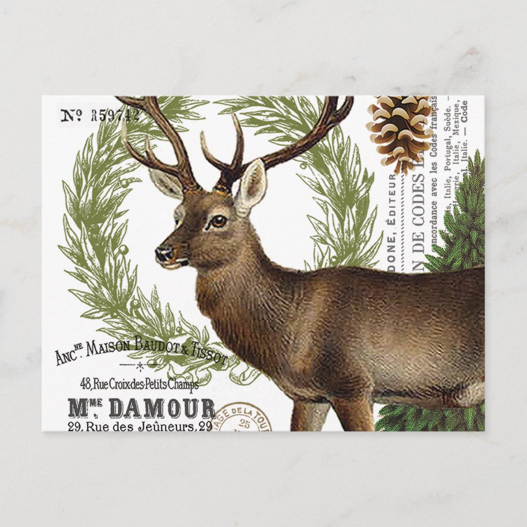 modern vintage woodland winter deer postcard | Zazzle