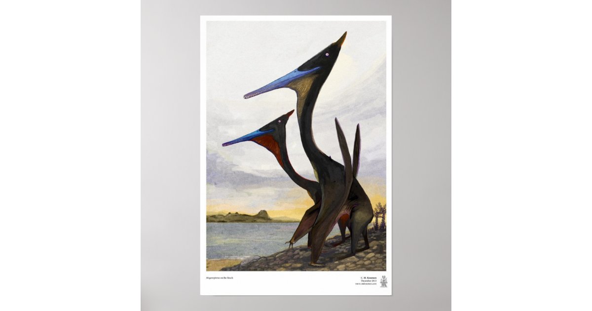 Moganopterus at the Beach Poster | Zazzle