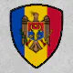 Moldovan Flag & Coat of Arms, Flag of Moldova Patch | Zazzle