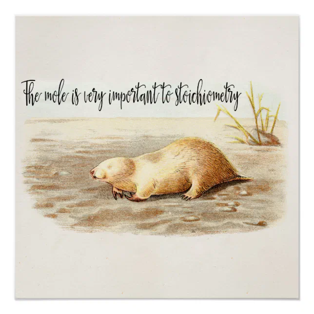 Mole Stoichiometry Chemistry Quote Science Humor Poster | Zazzle