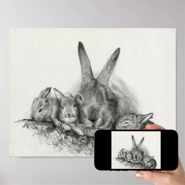 Momma Rabbit With Baby Bunnies Pencil Drawing Poster | Zazzle