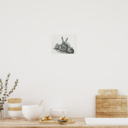 Momma Rabbit With Baby Bunnies Pencil Drawing Poster | Zazzle