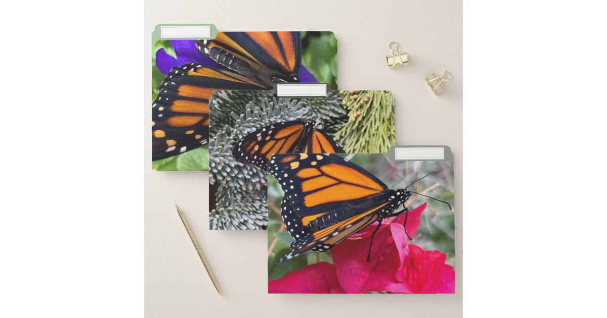Monarch butterflies on flowers and greenery file folder | Zazzle