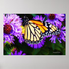 Pretty Aster Flower Poster | Zazzle.com