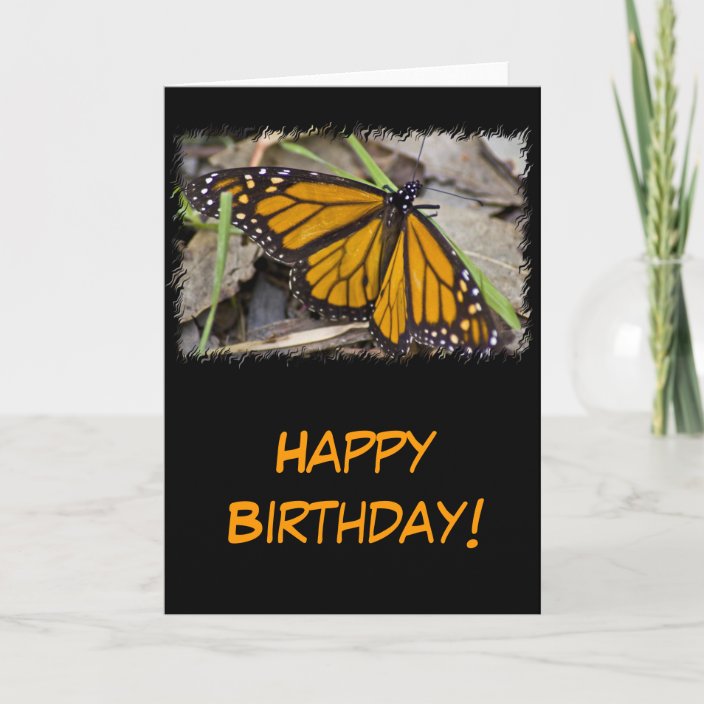 Monarch Butterfly Birthday Card | Zazzle.com