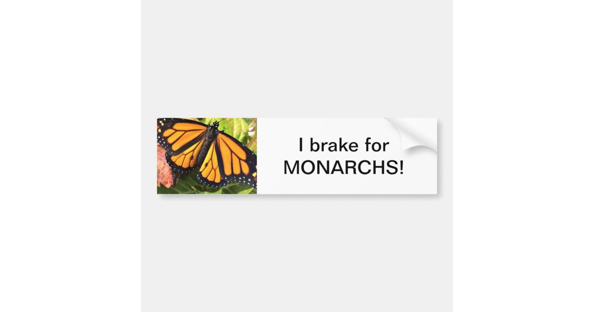 Monarch Butterfly - Bumper Sticker | Zazzle