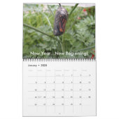 Monarch Butterfly Calendar | Zazzle