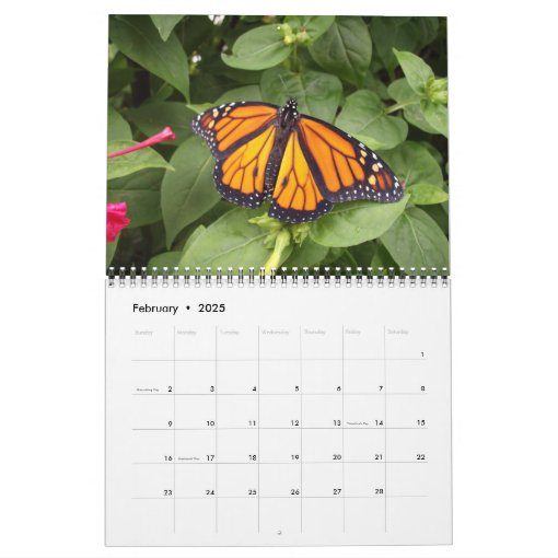 Monarch Butterfly Calendar | Zazzle