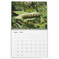 Monarch Butterfly Calendar | Zazzle
