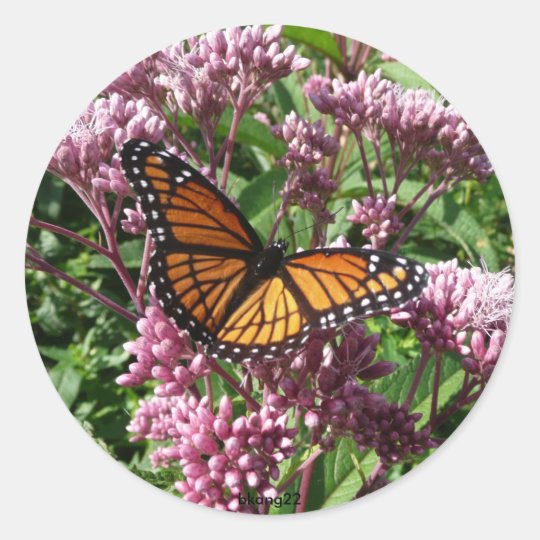 Monarch Butterfly Classic Round Sticker | Zazzle.com