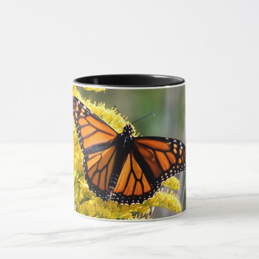 Monarch Butterfly Coffee Mug | Zazzle
