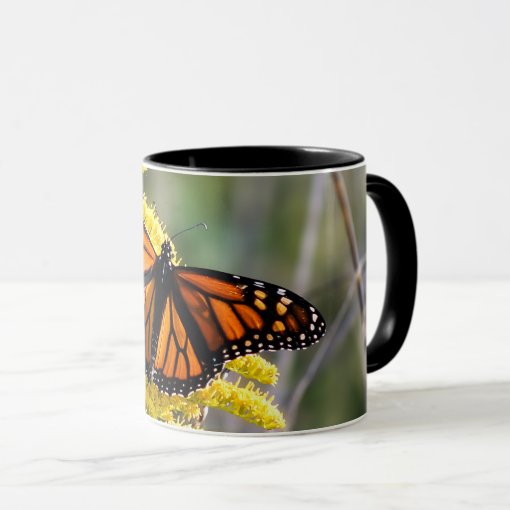 Monarch Butterfly Coffee Mug | Zazzle