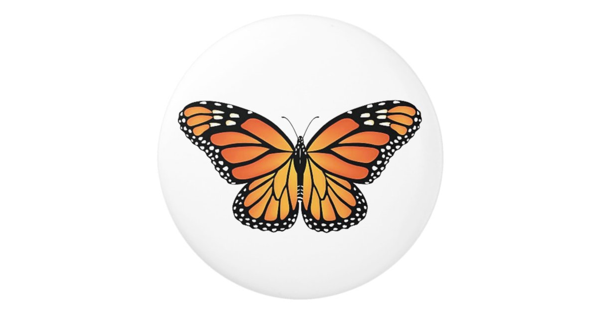 Monarch Butterfly drawer knobs | Zazzle