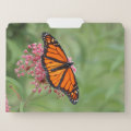 Monarch Butterfly File Folder | Zazzle