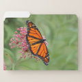 Monarch Butterfly File Folder | Zazzle