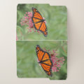 Monarch Butterfly File Folder | Zazzle