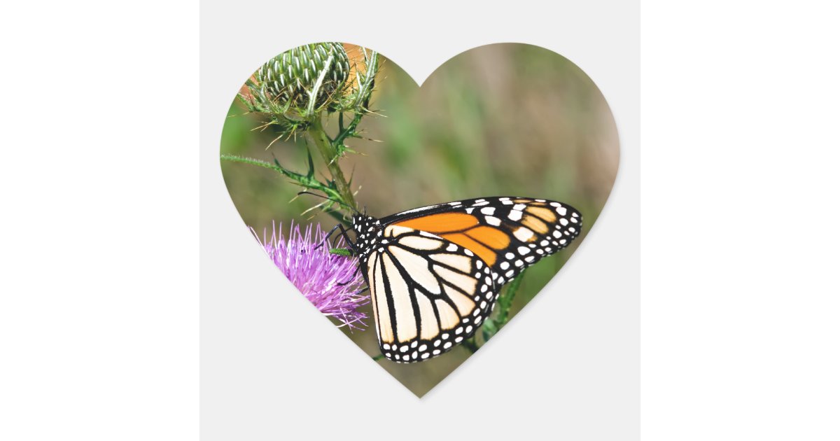 Monarch Butterfly Heart Sticker | Zazzle
