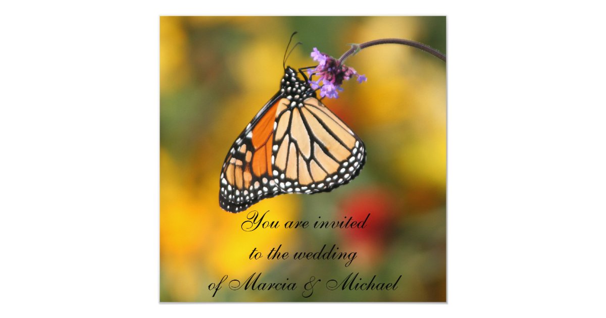 Monarch Butterfly Invitations | Zazzle.com